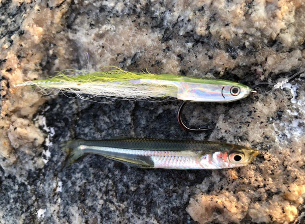 The Fly Tiers Guide To New England Critters And Baitfish - The ...