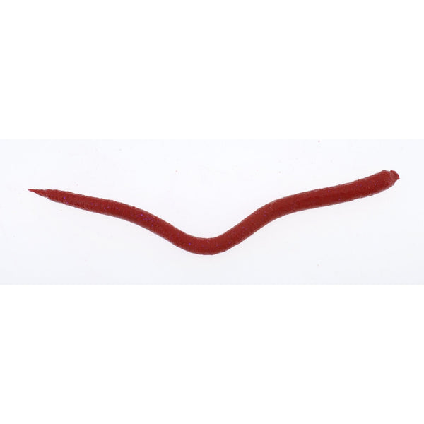 Gulp! Extruded Bloodworm - The Saltwater Edge